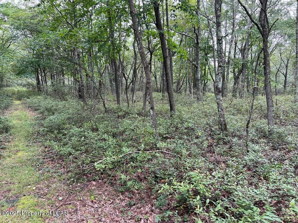 MLS #25-6200 - Stockton Mountain Road Hazle Twp, PA 18202