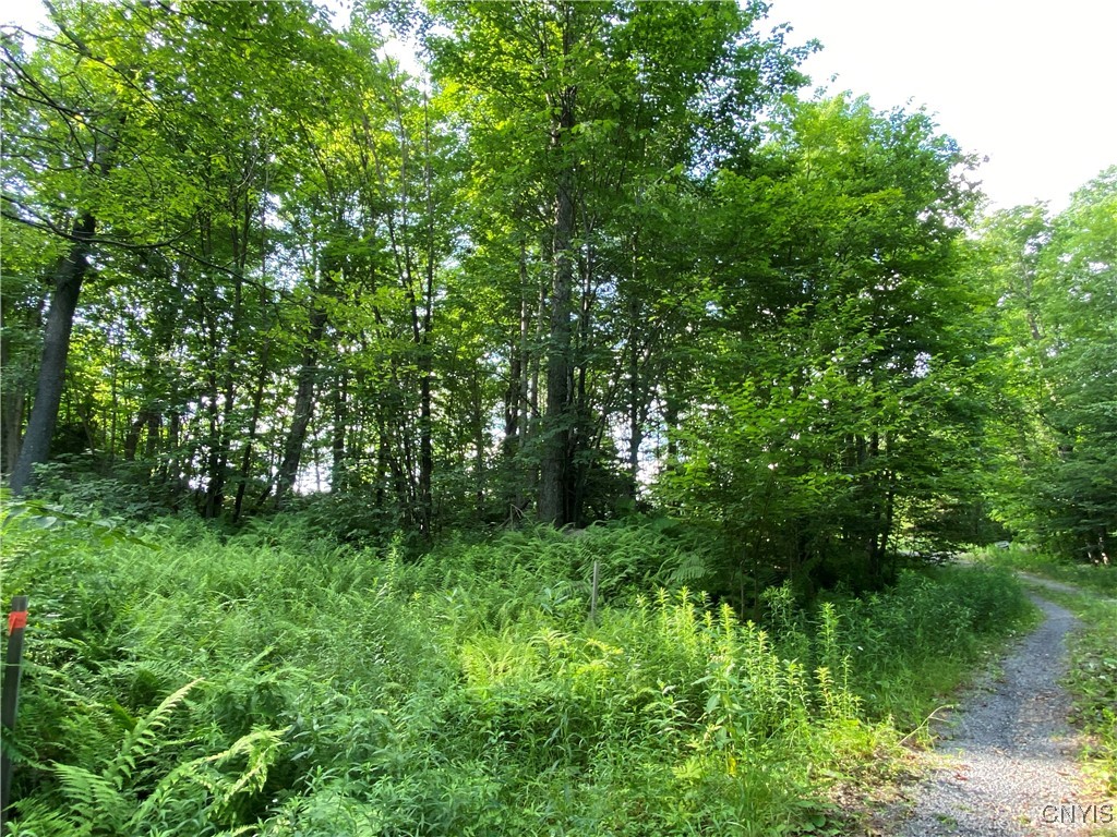 MLS #S1621752 - 1517 State Route 28 Webb, NY 13472