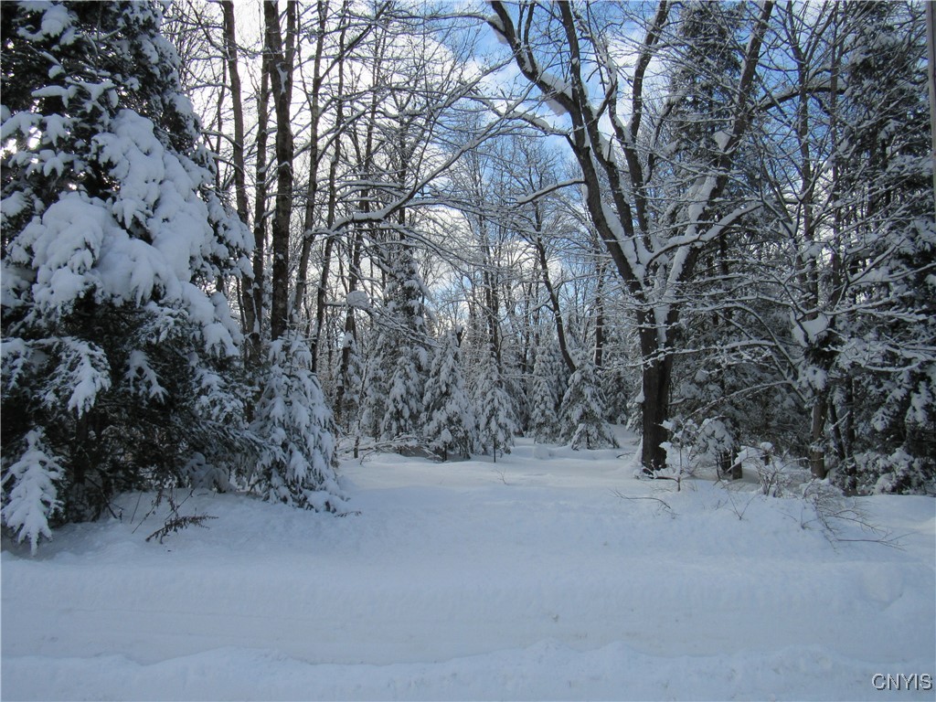 MLS #S1587044 - 1018 South Road Forestport, NY 13338